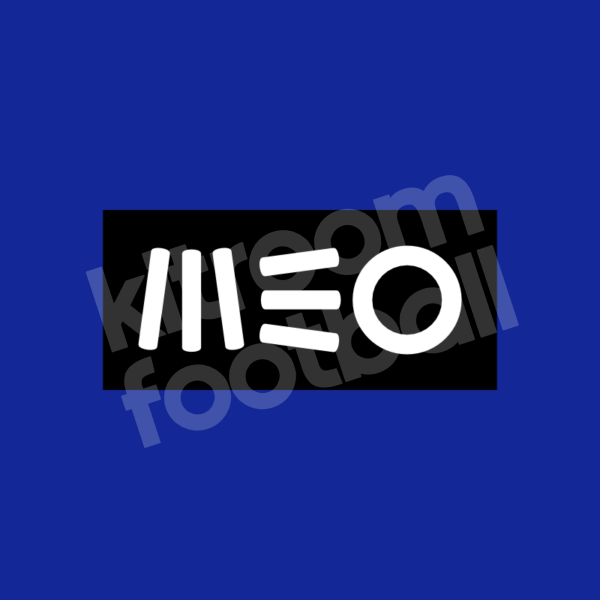 2013-14 Porto MEO Sponsor Patch Black & White Repro – Kitroom Football
