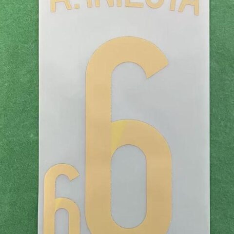 2014 Spain FIFA World Cup Home Name Set #6 Andres INIESTA (Repro ...